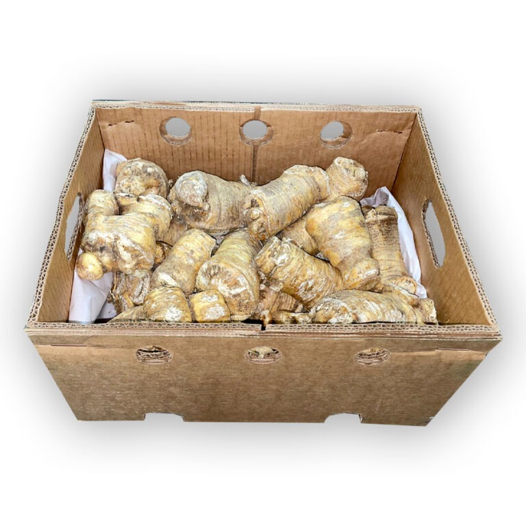 Apio Dominicano 15LB / Celery Root 15LB – Coto Distributors
