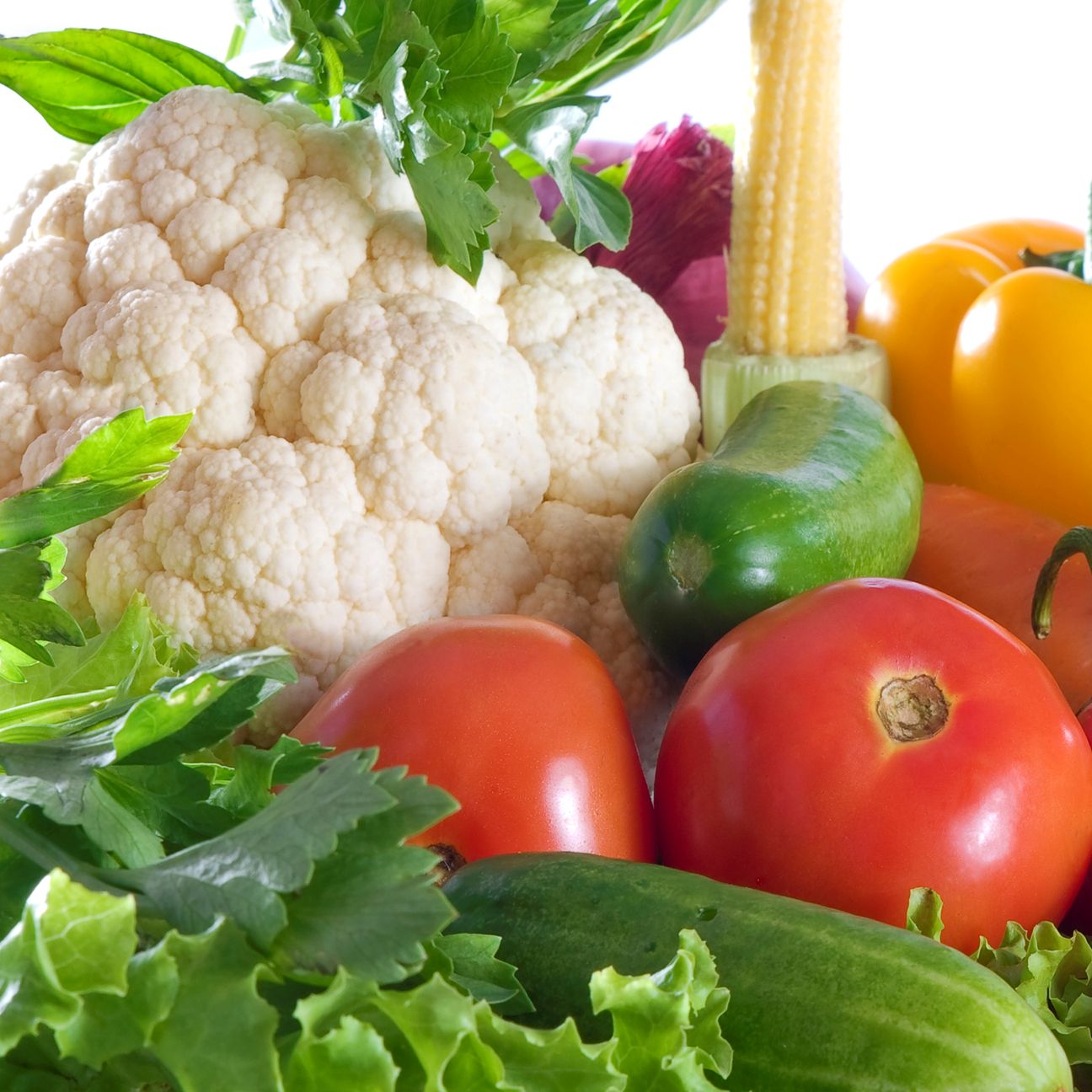 Coto Distributors – Fresh vegetables for your business!